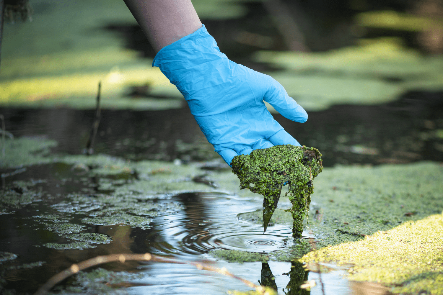 Tecnologia e Meio Ambiente: Importância e Pontos Positivos
